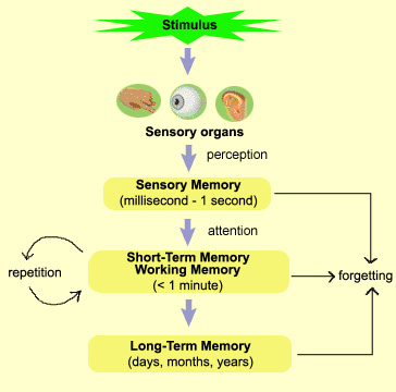 is implicit memory automatic processing